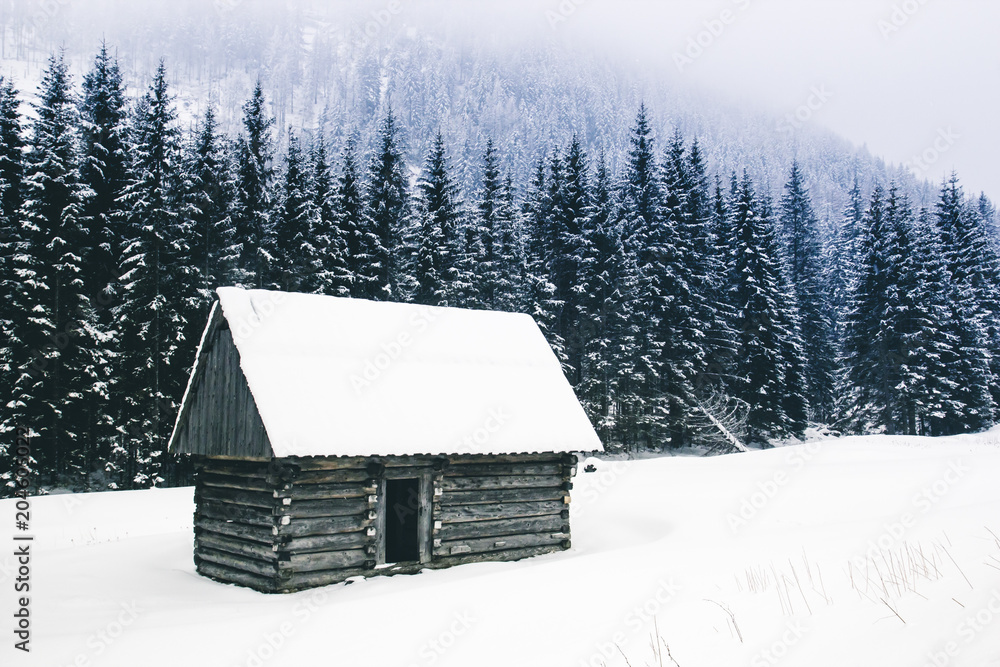 Dark Snowy House