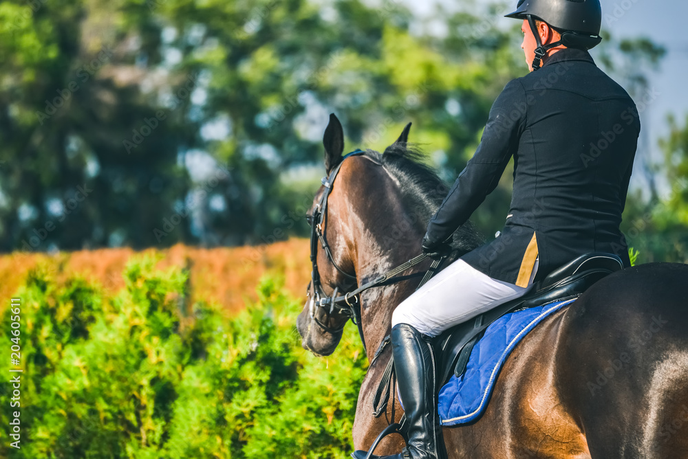 Showjumping competition, bay horse and rider in black uniform ...
