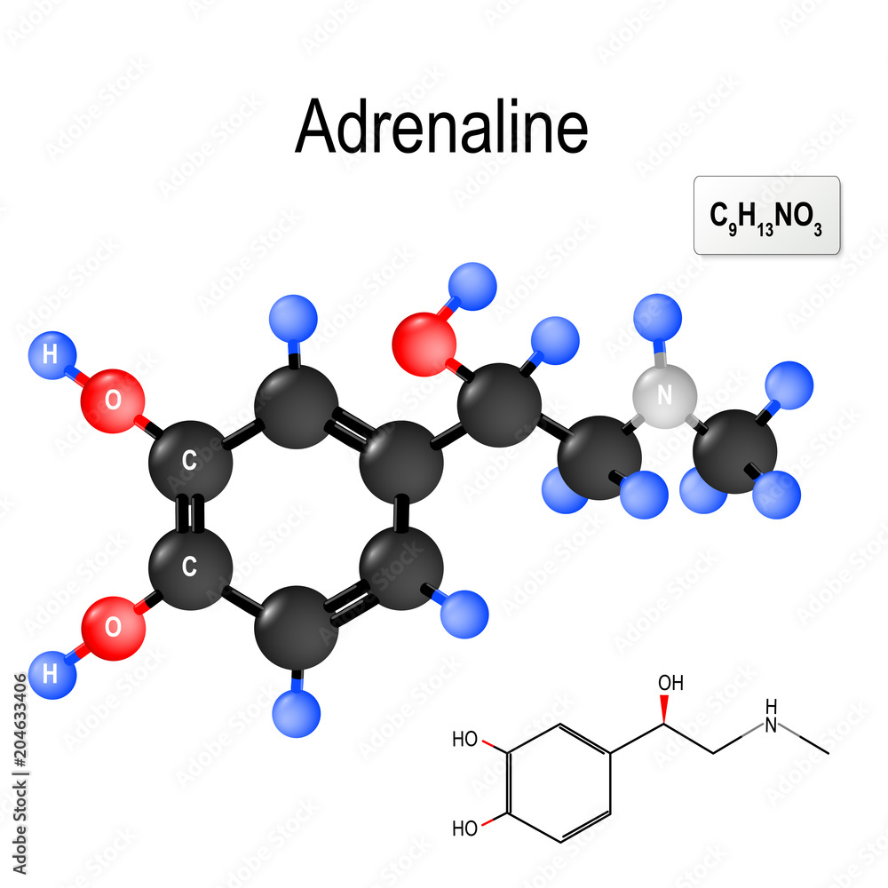 Structural chemical formula and model of molecule of adrenalin ...