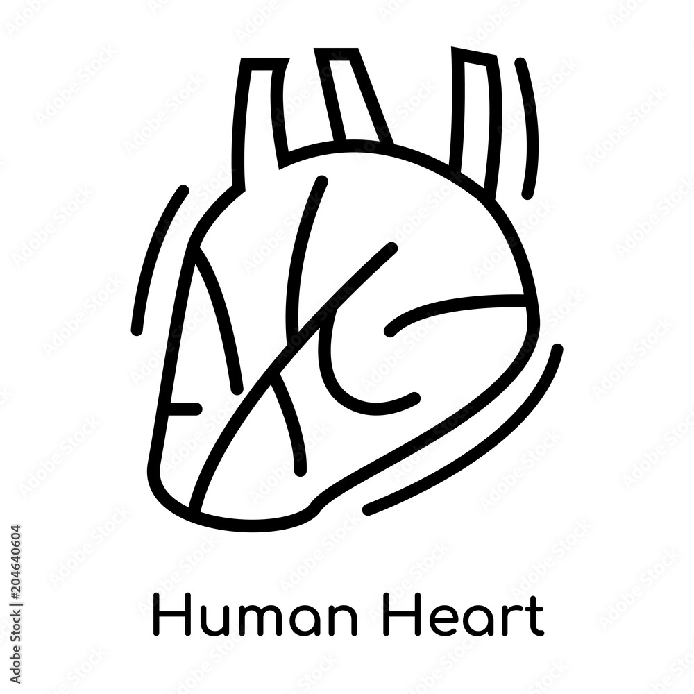 Human Heart icon isolated on white background , black outline sign ...