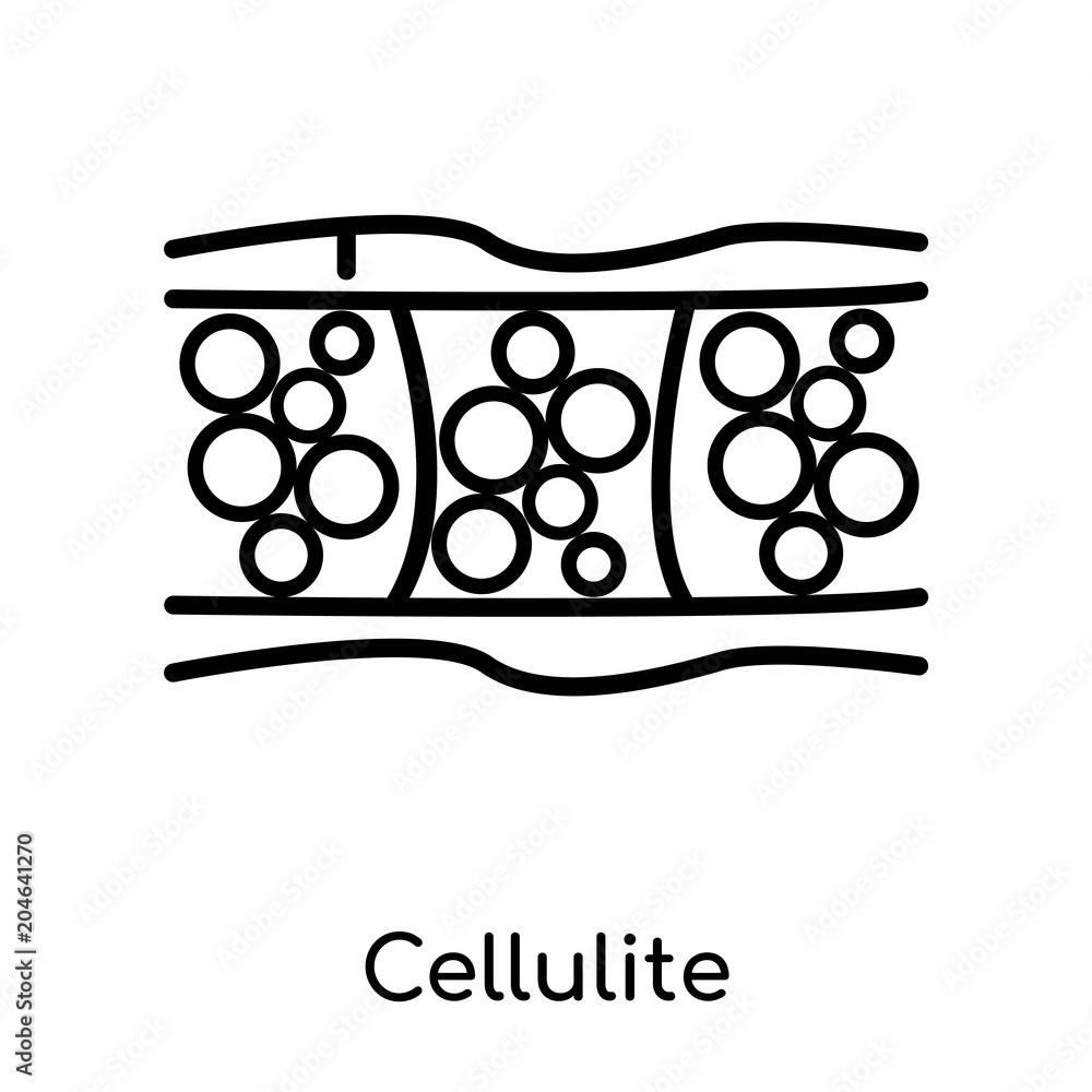 Cellulite icon isolated on white background , black outline sign ...