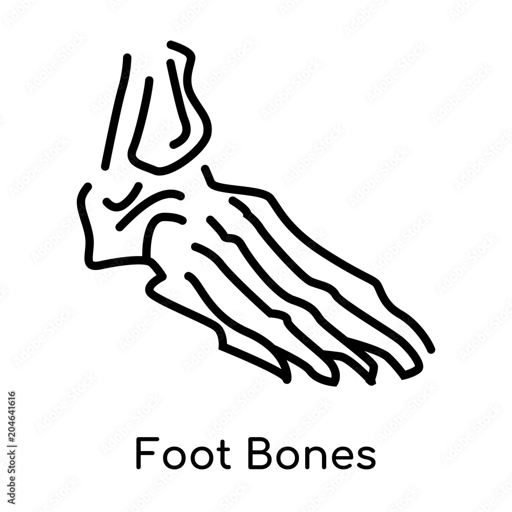 Foot Bones icon isolated on white background , black outline sign ...
