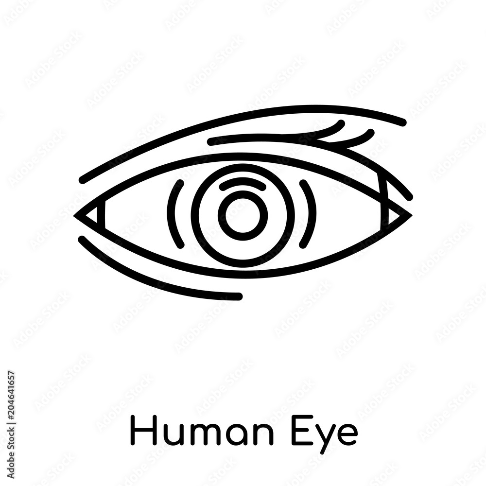 Human Eye icon isolated on white background , black outline sign ...