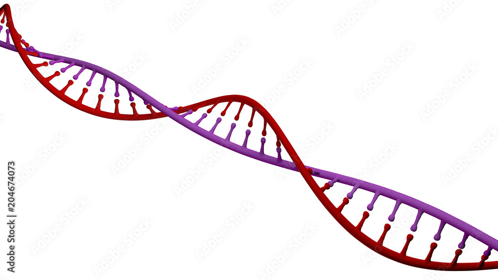 Dna, elica di Dna, acido desossiribonucleico è un acido nucleico che ...