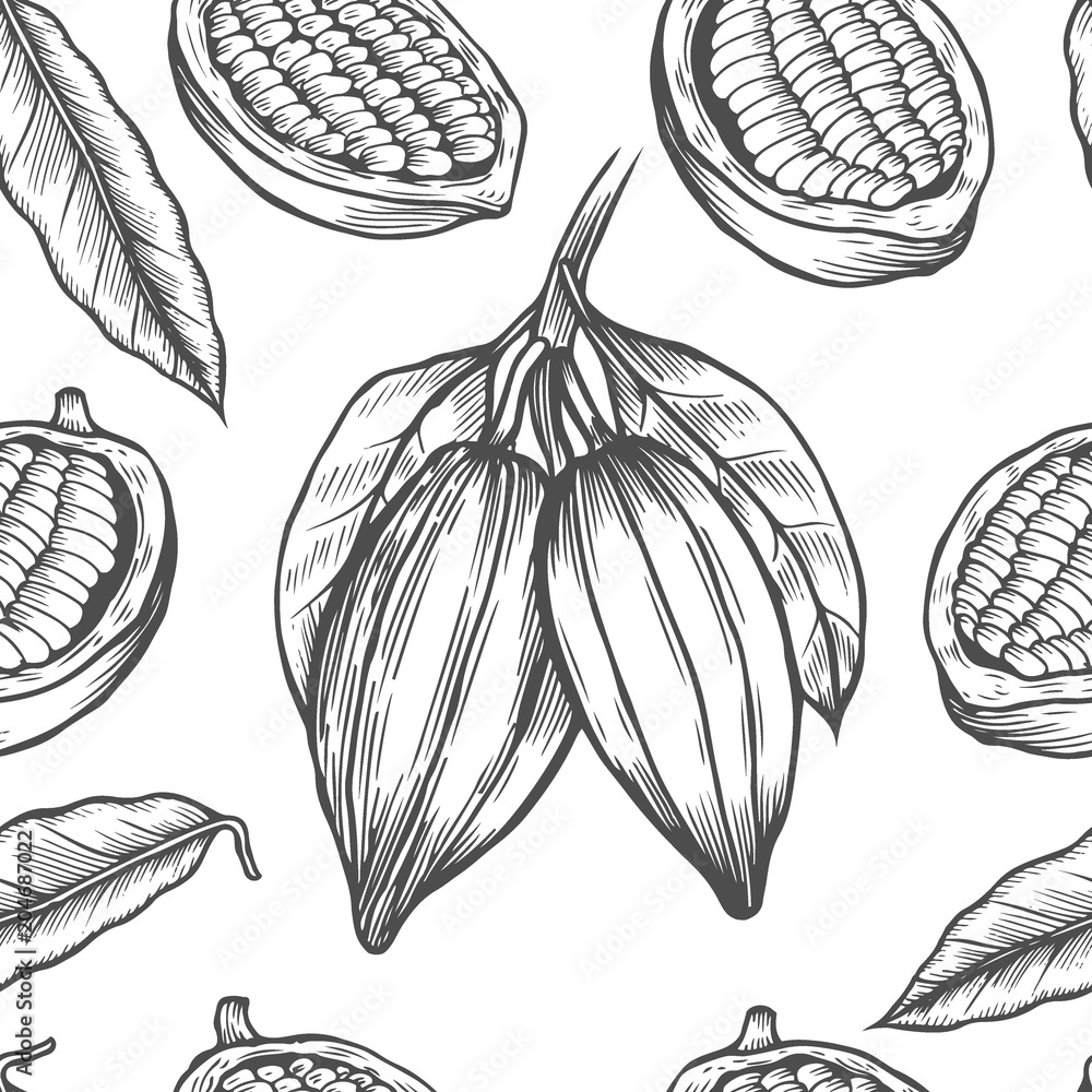 Vector Cocoa tree illustration Stock Vector | Adobe Stock