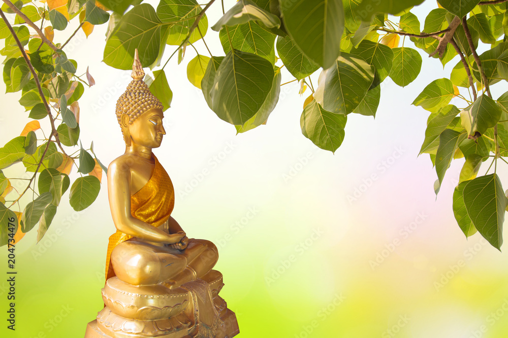 Buddha under Bodhi Leaf on nature background. Sacred Tree for Buddhist ...