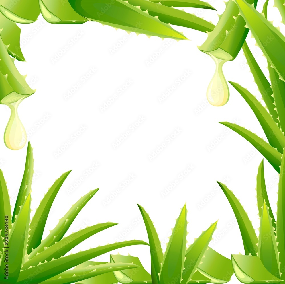 Pattern of green aloe vera plant. Cut pieces of aloe vera. Serum and ...