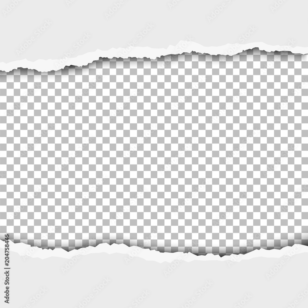 Ripped Piece Of Paper Vector