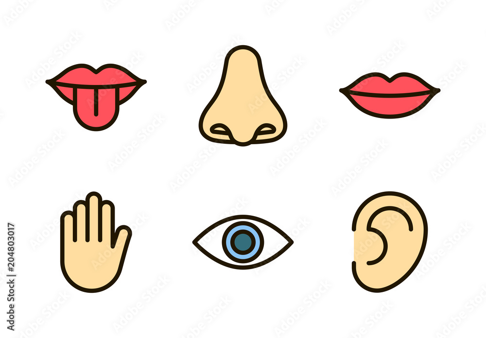 Outline color icon set of five human senses: vision (eye), smell (nose ...