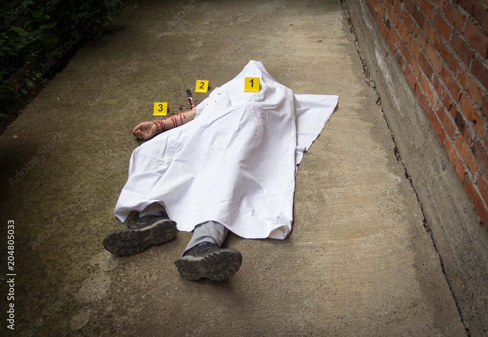 A dead man covered with white sheets. A bloody knife in the background ...