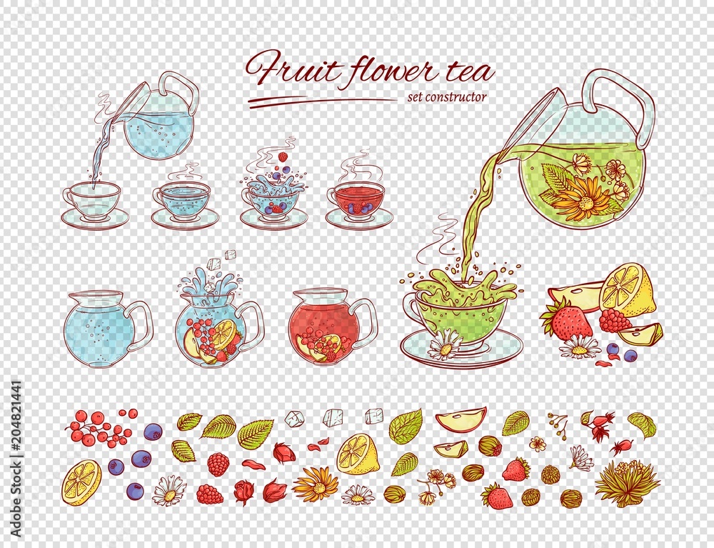 Vector tea constructor flowers fruits brew process. Make and pour in ...