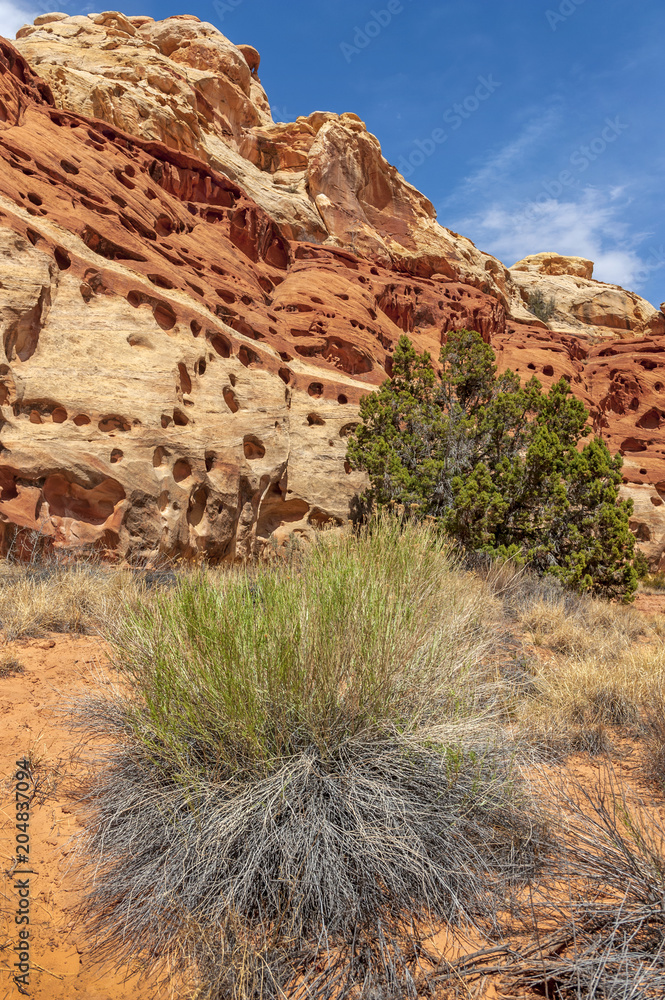 Capitol Reef National Park is in Utah's southern desert. t surrounds a ...