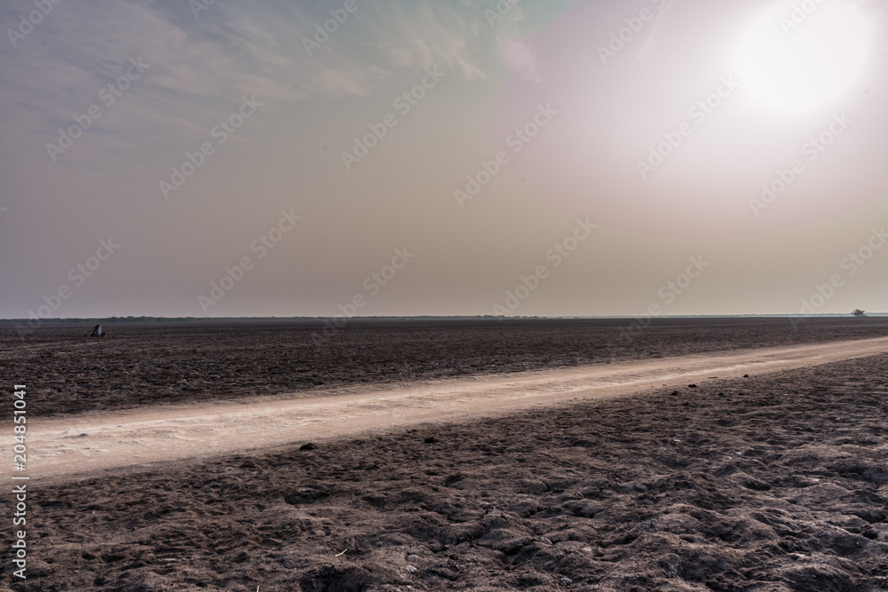Foto de Little Rann of Kutch is a unique desrt located in Gujarat state ...