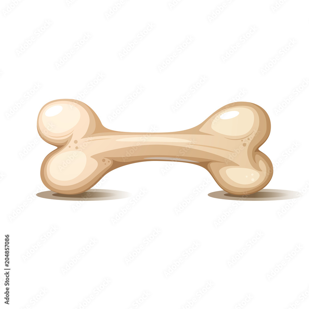 Cartoon bone icon with shadow. Vector eps 10 Stock Vector | Adobe Stock