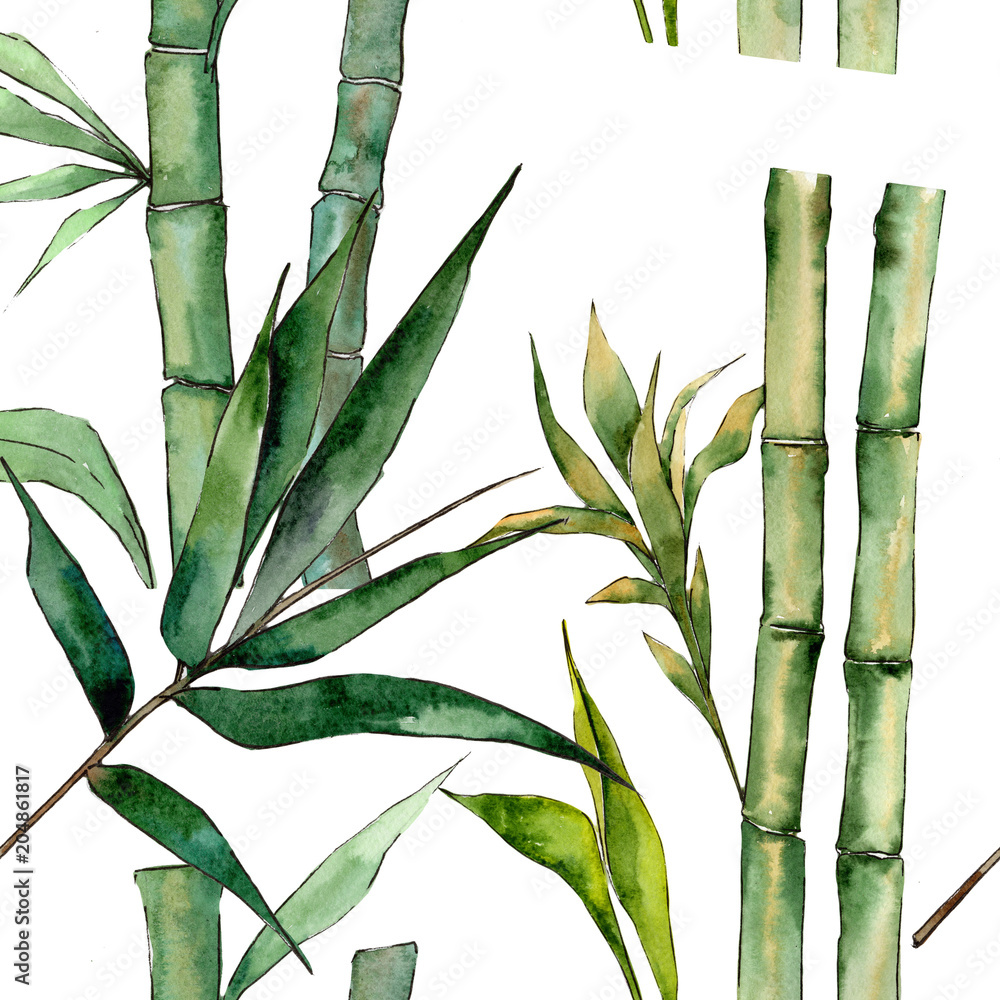 Bamboo tree pattern in a watercolor style. Aquarelle wild bamboo tree ...
