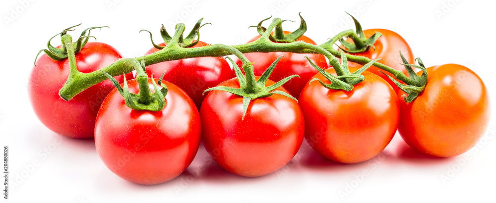Tomaten auf weissem hintergrund Stock-Foto | Adobe Stock