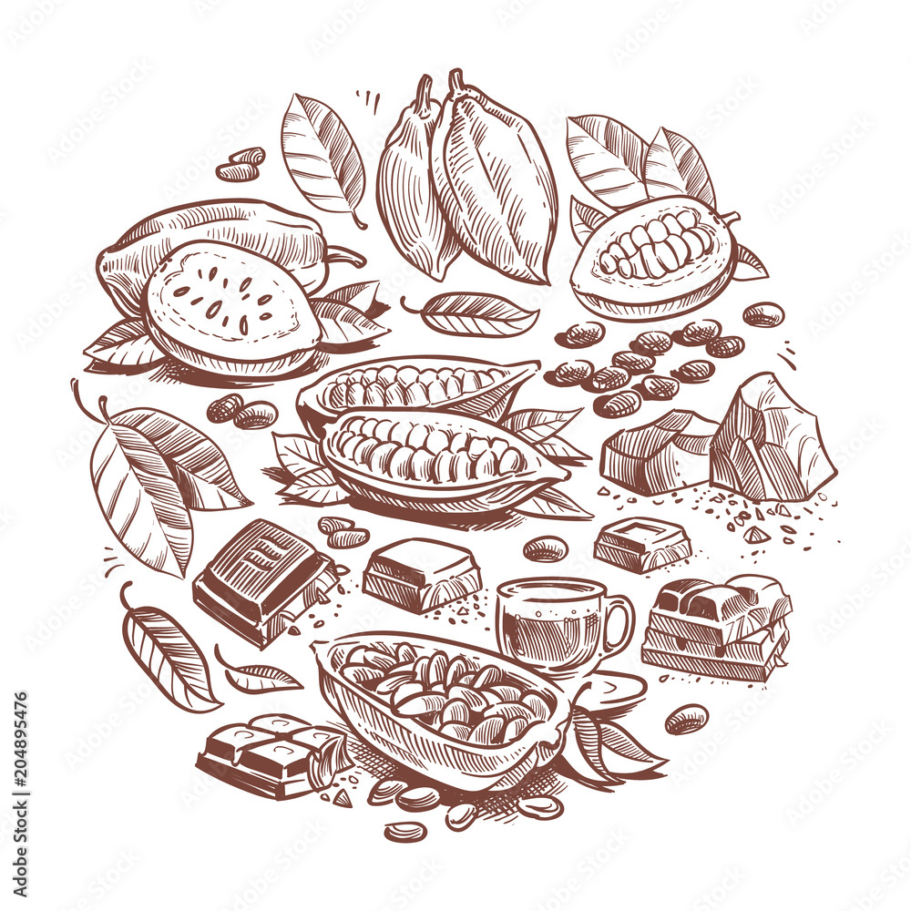 Hand drawn cocoa beans, chocolate design. Doodle cacao tree vector ...