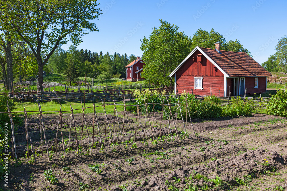 Country Vegetable Garden