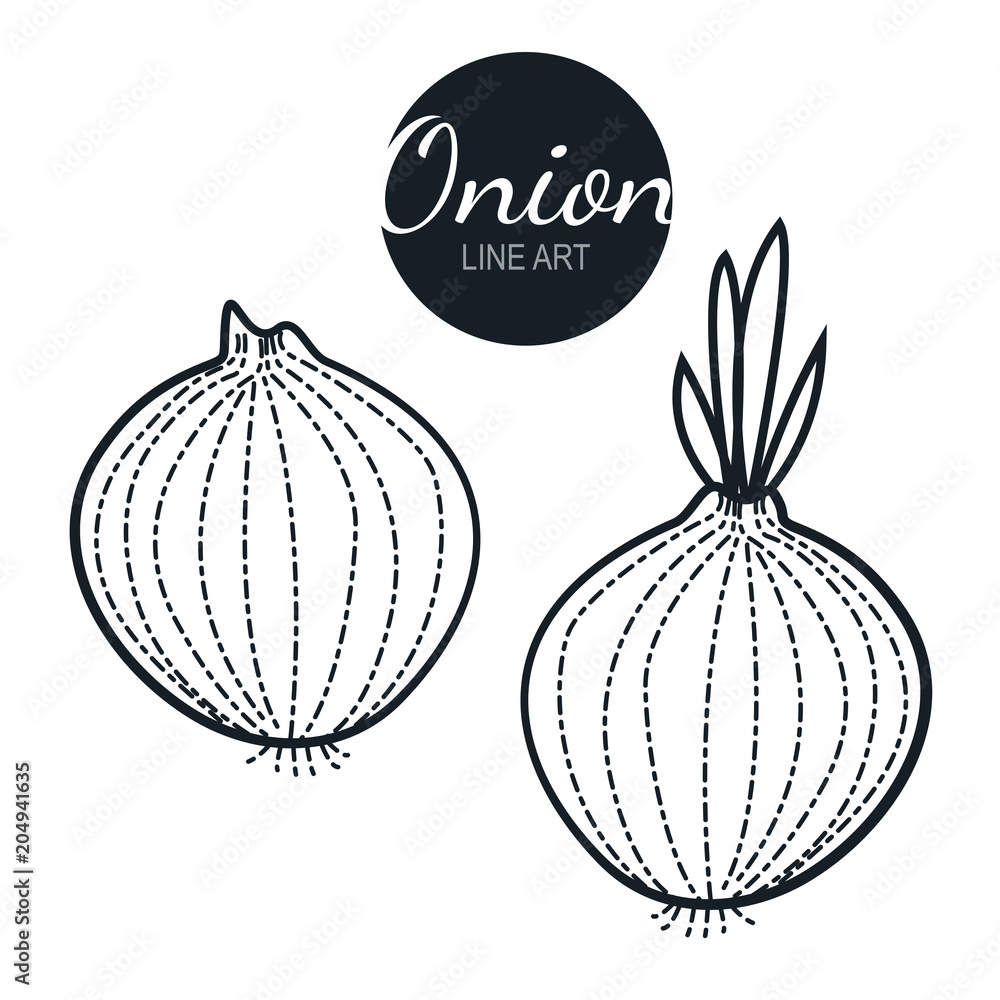 onion linear graphic design. Black and white image of vegetables ...