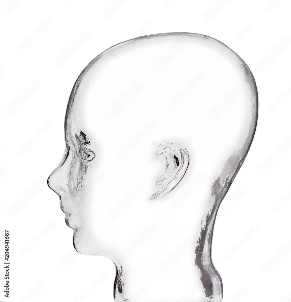 TRANSPARENT GLASS MODEL OF HUMAN HEAD ON WHITE BACKGROUND Stock Photo ...