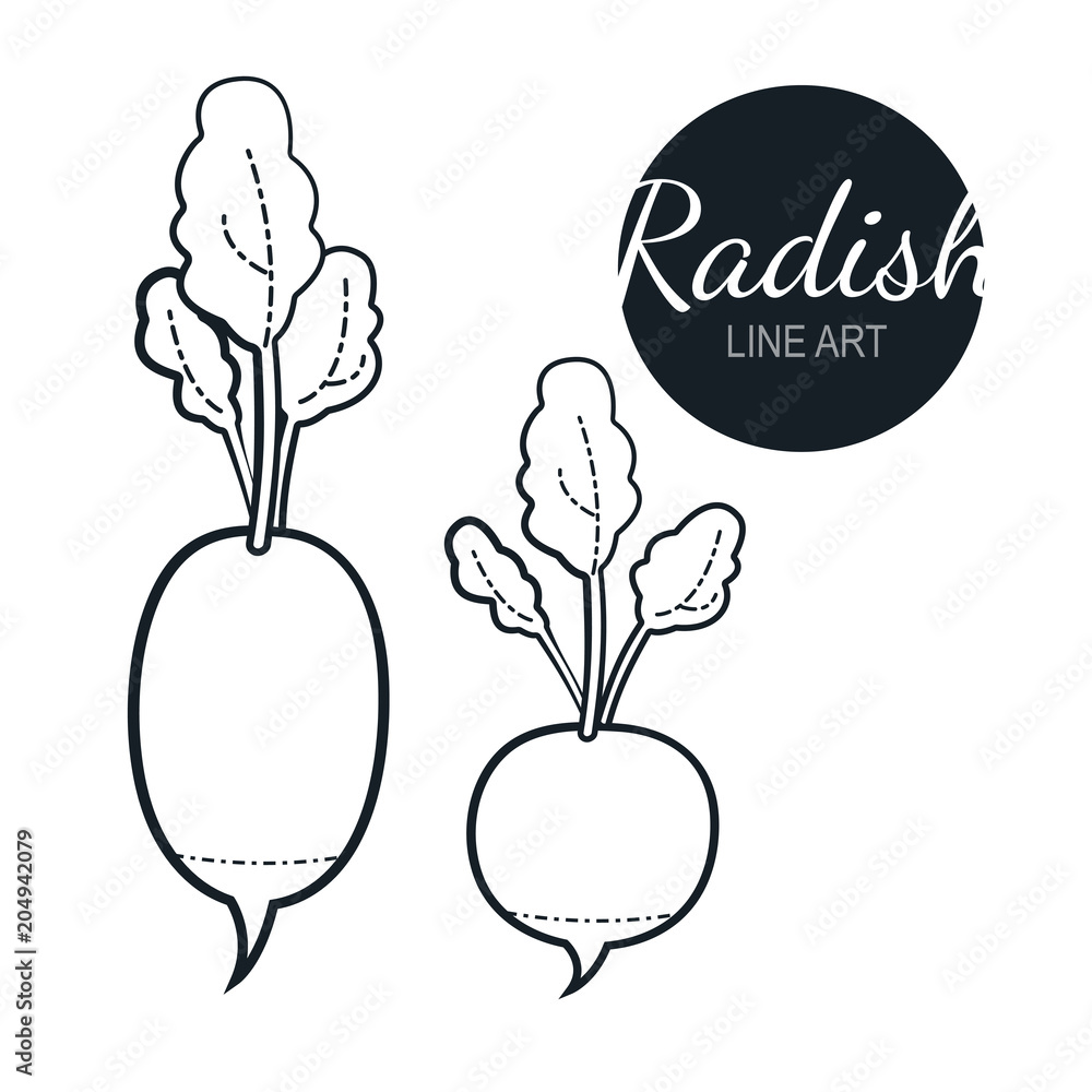 Radish Clip Art Black And White