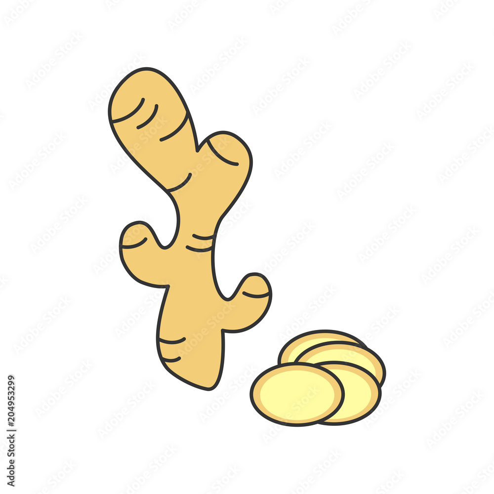 cute fresh ginger root vector illustration isolated on white background ...