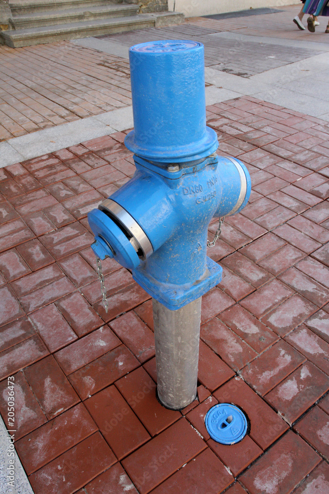 Fire hydrant. New blue fire hydrant in the street. Fire hydrant for ...