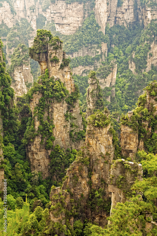 Vertical rock formations of Zhangjiajie National Forest Park, Hunan ...