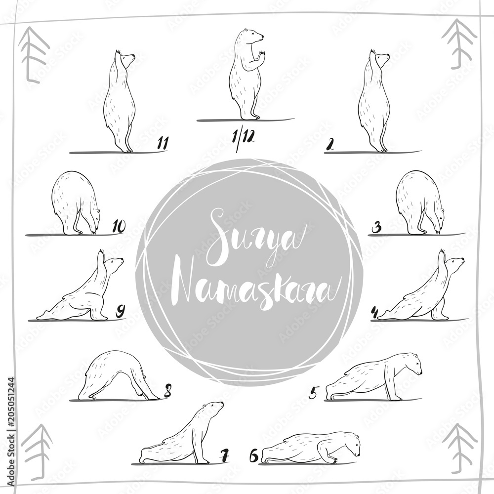 funny yoga with polar bear, fitness white bears, yoga poses, Surya ...