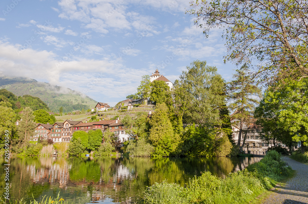 Werdenberg, Buchs, See, Uferweg, Seeufer, Schloss, Weinberg ...