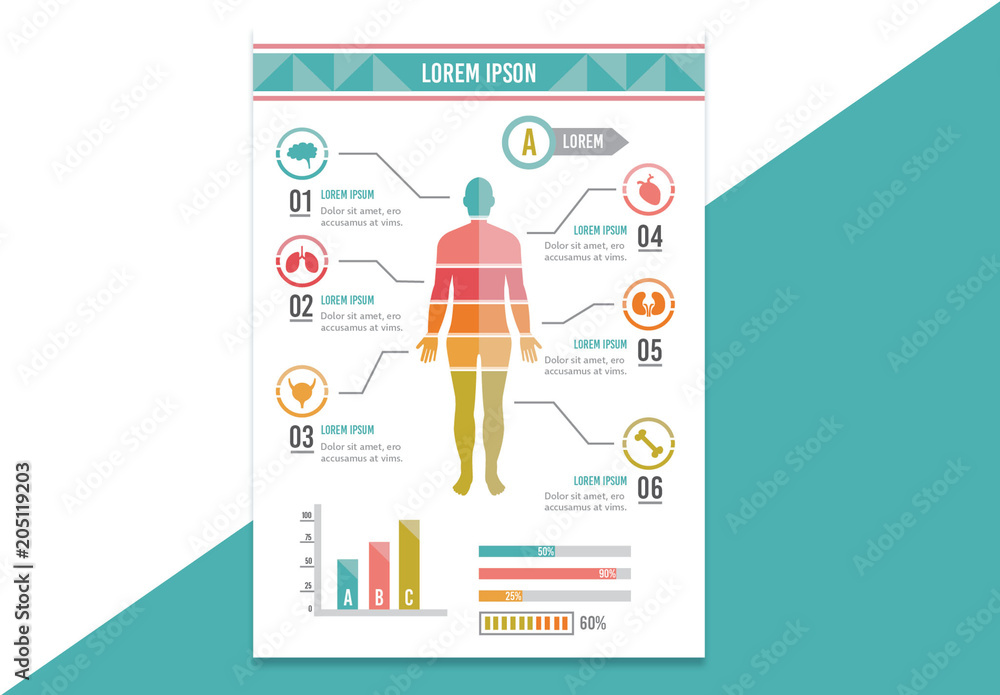 Human Body Diagram Chart Layout Stock Template | Adobe Stock