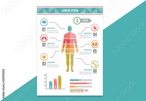 Human Body Diagram Chart Layout plantilla de Stock | Adobe Stock