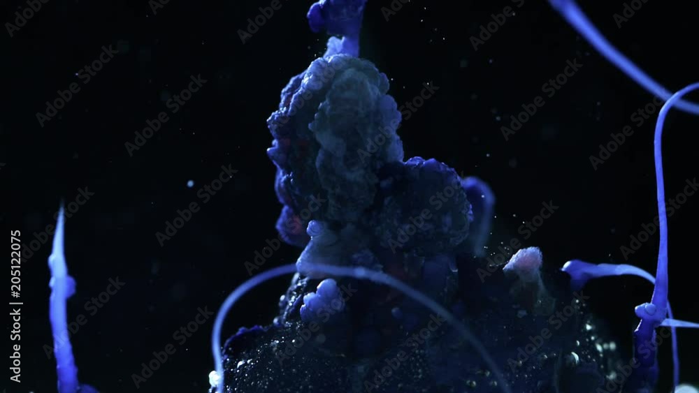 Chemical reaction with osmotic effects. Reaction of metal salt dropped ...