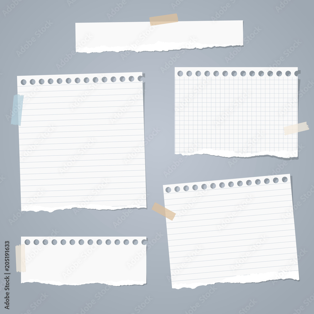 Torn Note Paper Vector