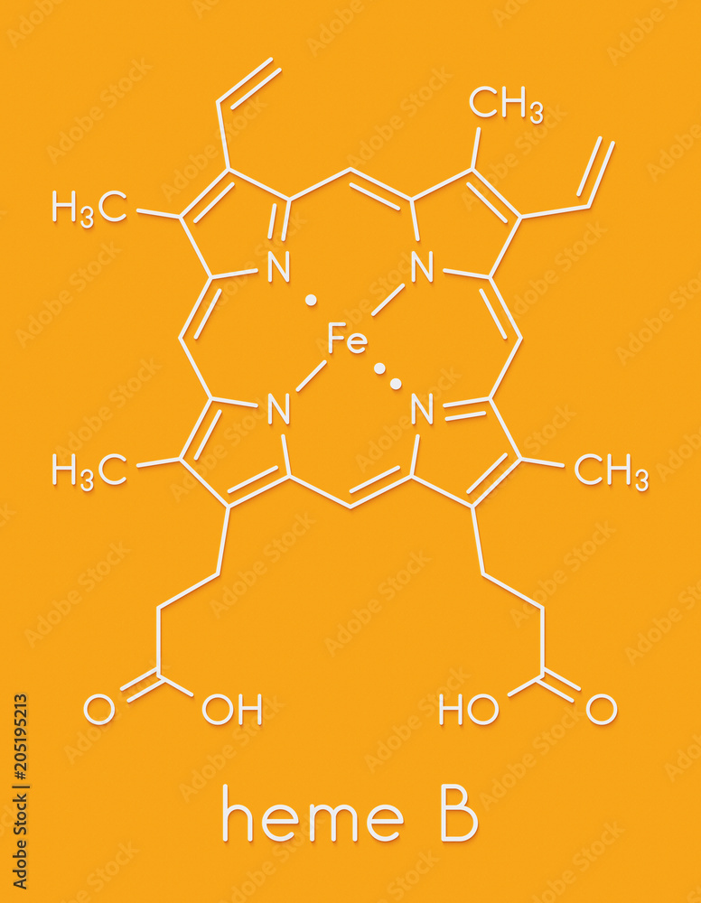 Heme B (haem B) molecule. Heme is an essential component of hemoglobin ...