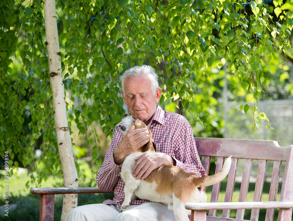Old man with dog in garden Stock Photo | Adobe Stock