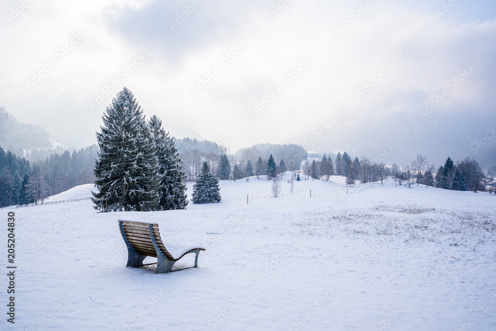 Winter Scenery In Germany