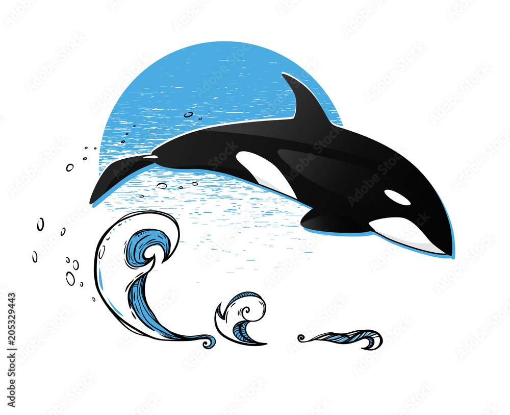 Jumping killer whale. Vector graphic illustration. The orca above the ...