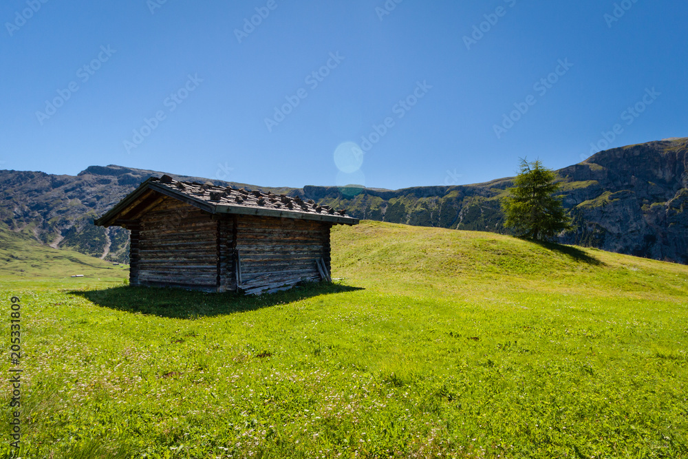 House standing in the middle of a field of green grass with dolomite ...