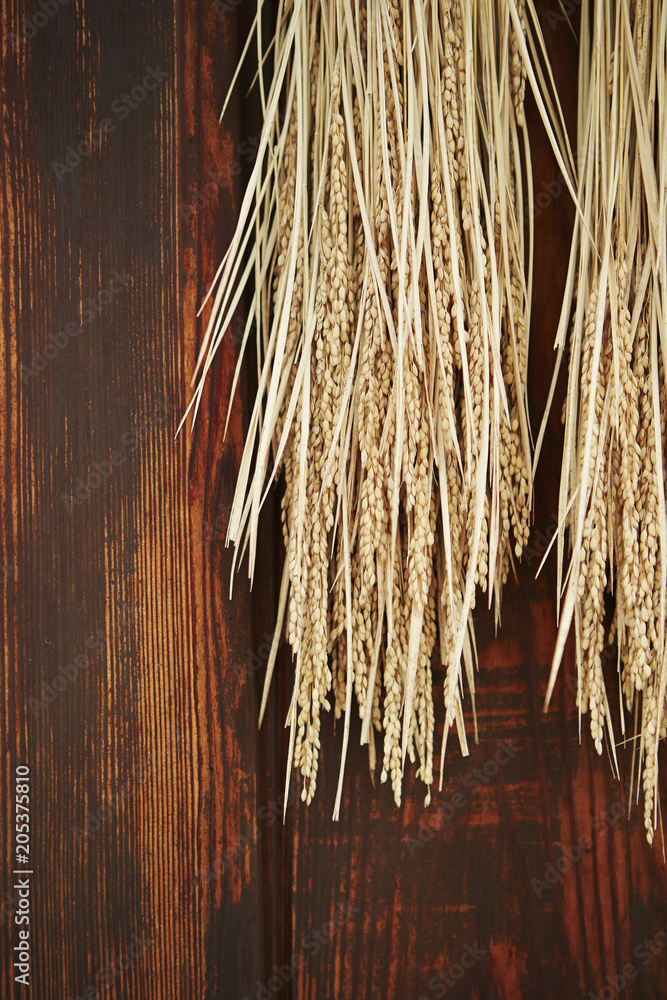 Hanging rice crops Stock Photo | Adobe Stock