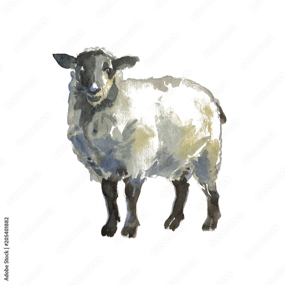 The sheep portrait Stock Illustration | Adobe Stock