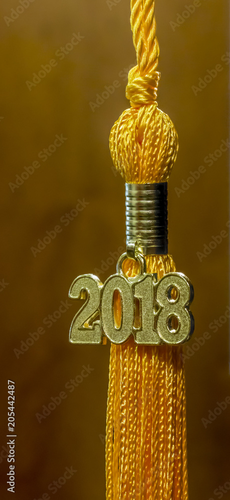 Class of 2018. Gold tassel drop graduation gown accessory and keepsake ...