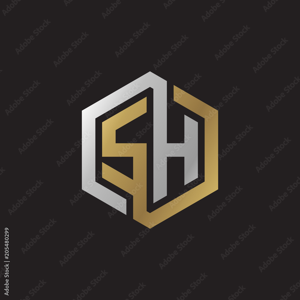 Initial letter SH, looping line, hexagon shape logo, silver gold color ...