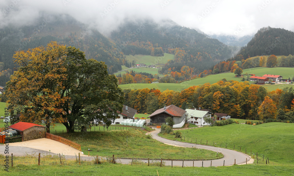 Beautiful Fall Country Scenery