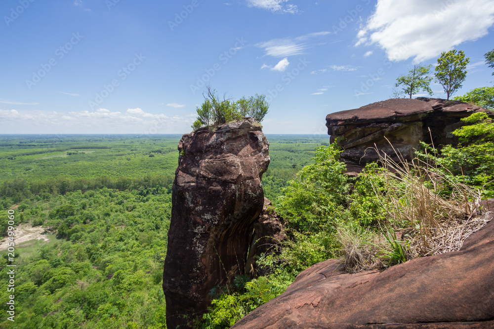 Beautiful scenery of the tropical foliage and the sandstone rocks with ...