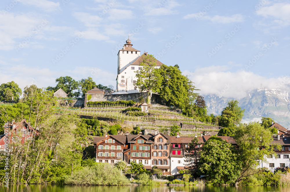 Werdenberg, Buchs, See, Seeufer, Schloss, Weinberg, historische Häuser ...