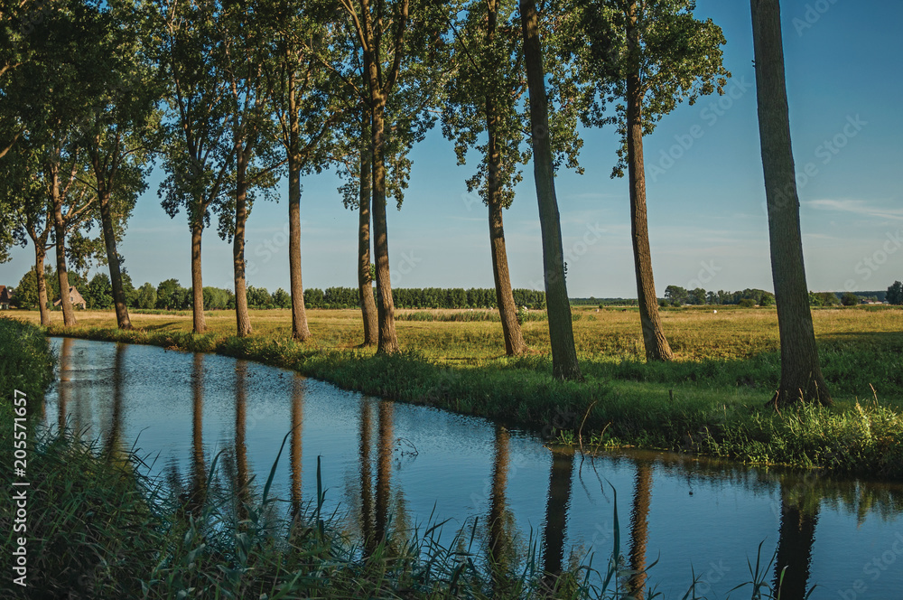 Creek in the woods next to cultivated fields at the late afternoon ...