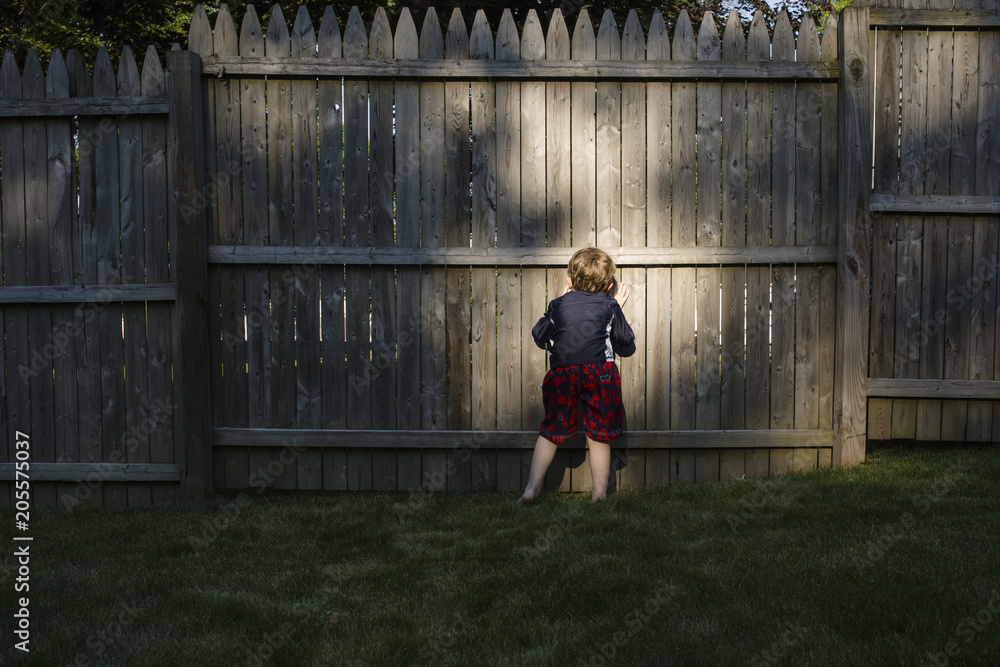 View Through A Fence