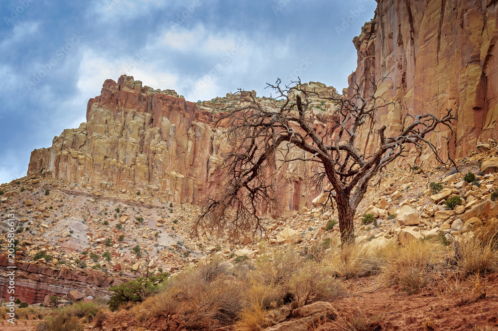 Capitol Reef Desert Landscape. The incredible sandstone geological ...