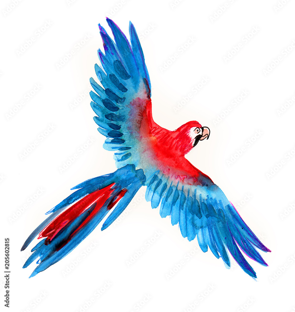 Flying Parrot Painting